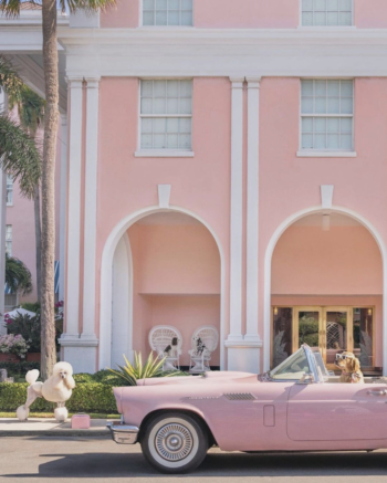 Collection Kult - Bloom Concept Store