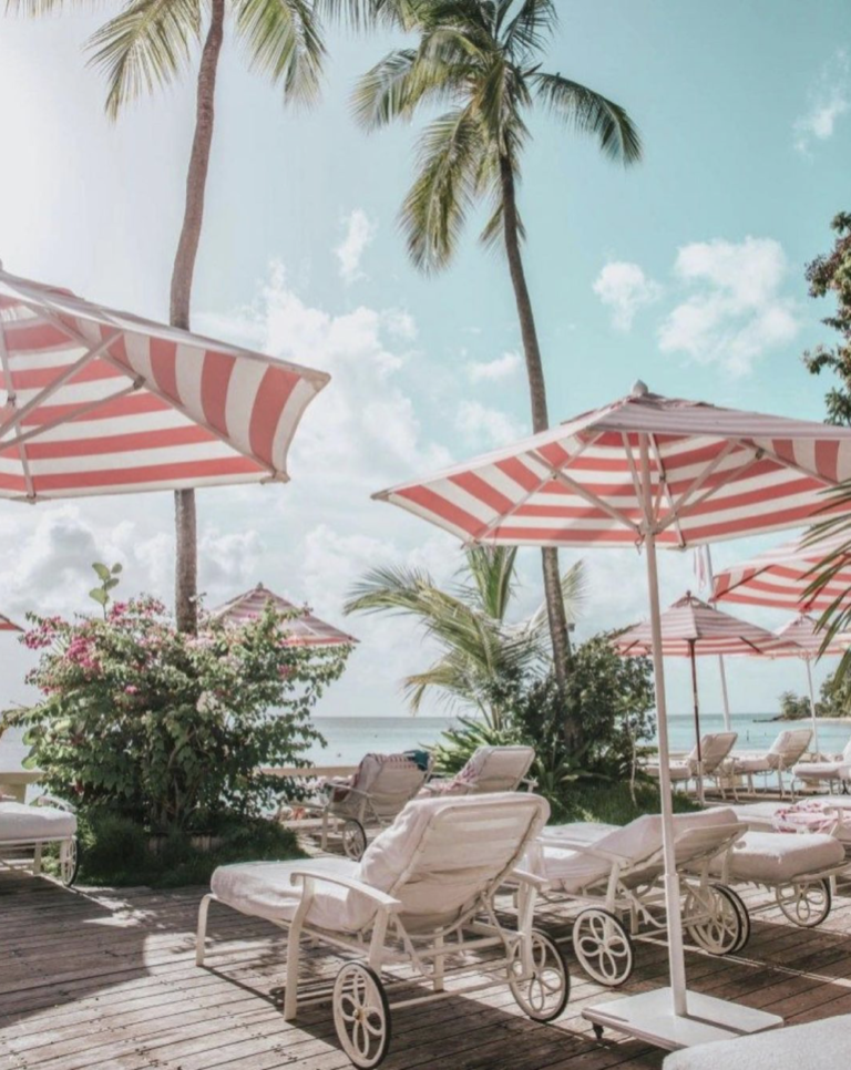 Collection Kult - Bloom Concept Store