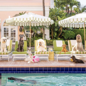 Collection Kult - Bloom Concept Store