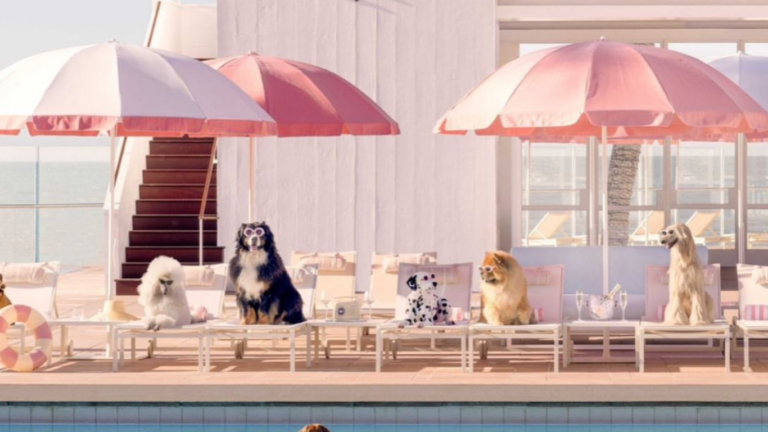 Collection Kult - Bloom Concept Store